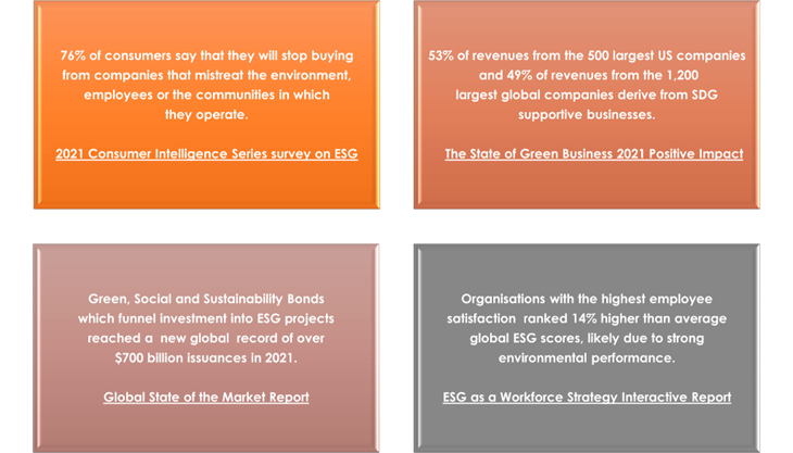 Why it’s important for companies to adopt ESG practices – 27 Projects